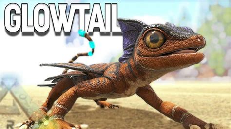 Ark Glowtail How To Tame Feed And Breed