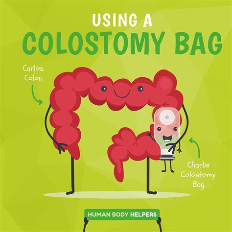 Using A Colostomy Bag Human Body Helpers Booklife Publishing
