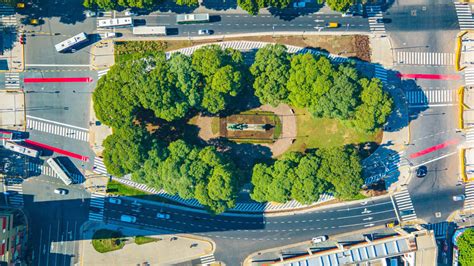 21 Líneas De Colectivos Y Dos Kilometros De Extensión Así Es El Nuevo