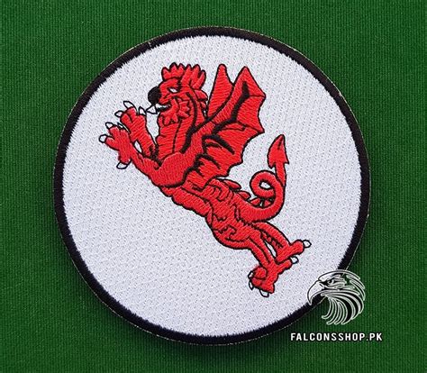 9 Squadron Griffins Patch Falcons Shop