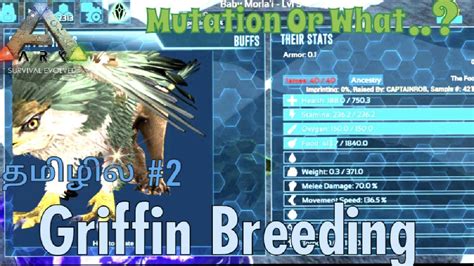 How To Breed Griffin Griffin Breeding Mutation Or What Ark Survival