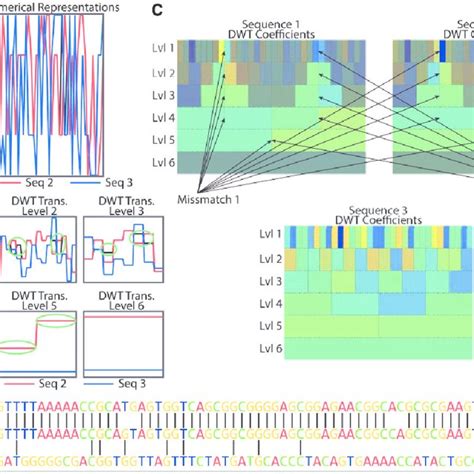 Distinct Viral Species In The Ncbi Refseq Releases From June 2003 May Download Scientific