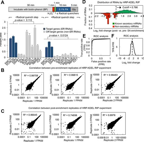 Figures And Data In Live Cell Mapping Of Organelle Associated Rnas Via Proximity Biotinylation