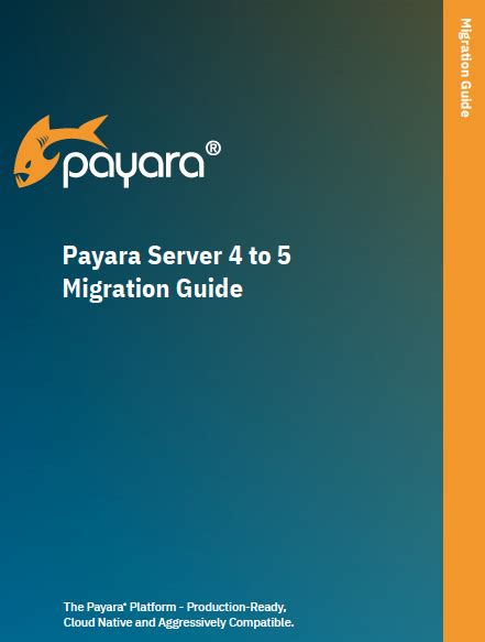 Payara Server To Payara Server Migration