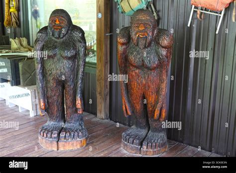 A View Of Expeditionbigfoot The Sasquatch Museum In Blue Ridge