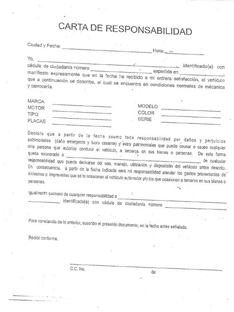Carta De Responsabilidad Civil Pdf