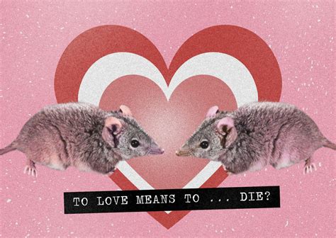 Give Them Sex Or Give Them Death The Gauntlet