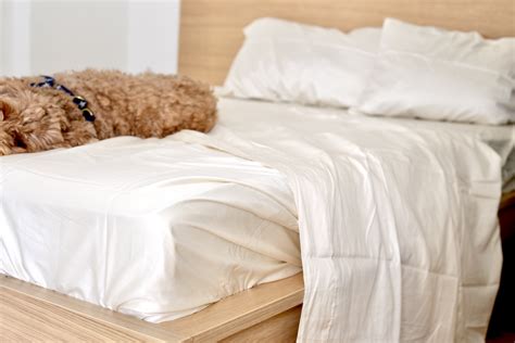 12 Best Organic Sheets For An Eco Friendly Bed I Tested Them All