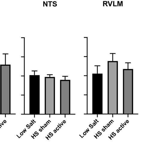 Gene Expression Of Neuronal Activity Markers In The Brain Regions After Download Scientific