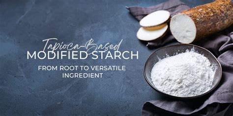 Tapioca Based Modified Starch From Root To Versatile Ingredient Bapl