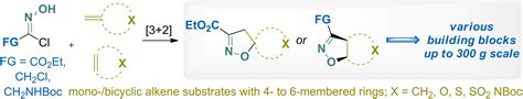 Synthesis Of Spirocyclic And Fused Isoxazoline Building Blocks Chalyk 2023 European
