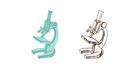 Flat And Sketch Style Style School Illustration Microscope Sketch