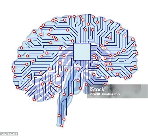 회로 기판을 가진 인간 뇌의 부분의 계획 백색에 고립된 뇌 해부학으로 Cgtp에 대한 스톡 벡터 아트 및 기타 이미지