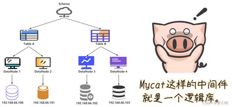 mycat【什么是mycat、mycat与其他中间件区别、mycat应用场景、核心概念详解、mycat原理】 一 全面详解（学习总结 从