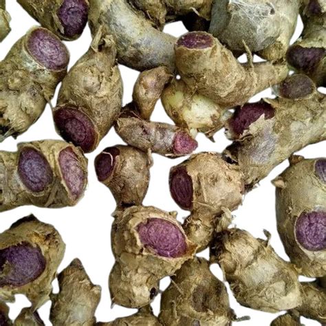Organic Black Ginger At 85000 Inr In Kamrup Assam Sandeep Chakraborty