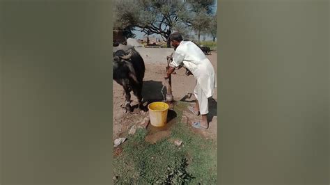 ساد لوگ ابھی بھی ھے چیک کرو جی Youtube