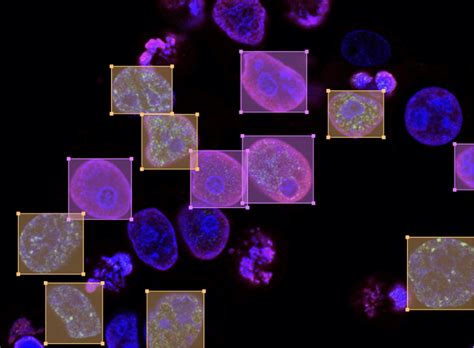 Open Source Data Labeling Label Studio