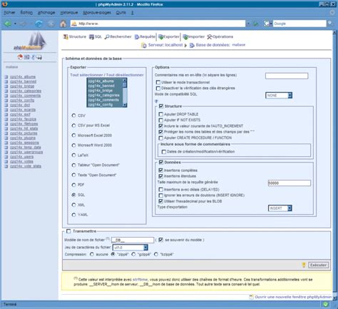 Comment Exporter Une Base De Données Phpmyadmin
