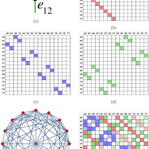 Construction Of The Osm Matrix A A Rooted Tree With Taxa 1 And 2