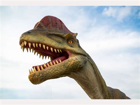 Inequality Statements 6th Grade Flashcard Wayground