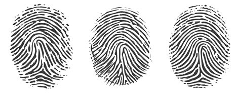 Premium Vector Collection Fingerprints With Unique Patterns Isolated On White Generative Ai