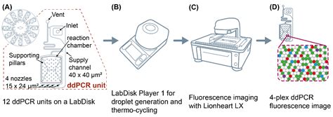 Centrifugal Microfluidic Integration Of 4 Plex Ddpcr Demonstrated By