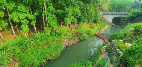 Insect Control Test Poseidon Sciences