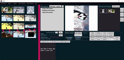 Github Gianlacasellalumix Camera A Photo Organizer And Editor Made With C Winforms And