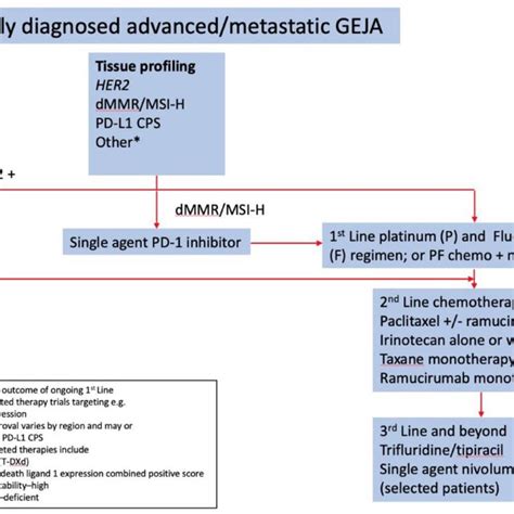 Treatment Algorithm Describing Treatment Options For Newly Diagnosed Download Scientific