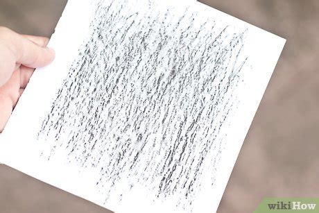 How To Make A Bark Rubbing 6 Steps With Pictures WikiHow