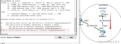 交换机与路由技术 26 ospf末梢区域 ospf 末梢区域和完全末梢区域 csdn博客