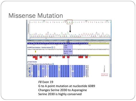 Genetics Of Inherited Bleeding Disorders Ppt Download