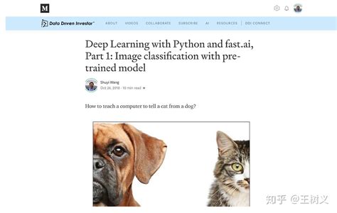 如何高效入门 PyTorch 知乎