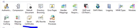 SSL Certificate In Local IIS Stack Overflow