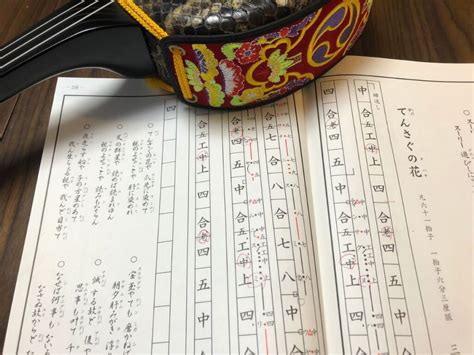 てぃんさぐぬ花工工四 初心者でも上達が早くなる工工四動画 島元屋