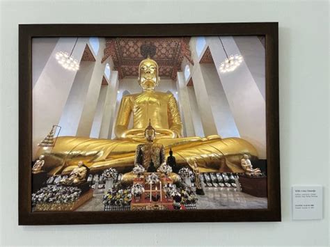 Princess Sirindhorns Stunning Photography Exhibition At Bacc Thaiger