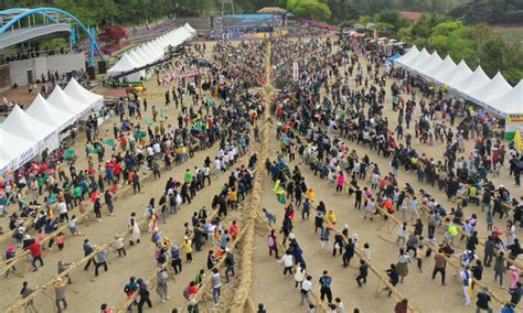 풍년 기원 ‘기지시 줄다리기 세계일보