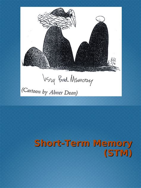 3 Stm Pdf Recall Memory Memory