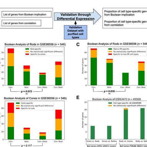Independent Validation Of Results A Validation Bulk RNA Seq Datasets Download Scientific