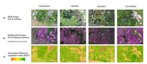What Are Liquid Neural Networks Viso Ai