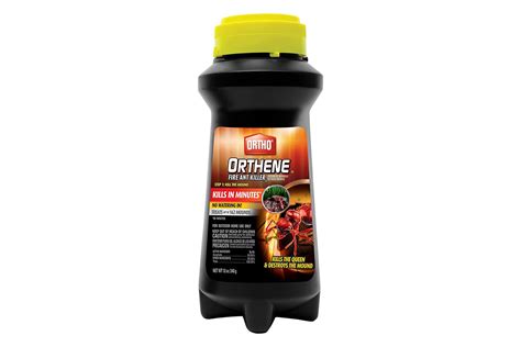 The Best Ant Killers Buying Guide