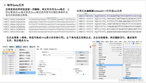 制作bed文件 Fasta Bigwig Igv Csdn博客