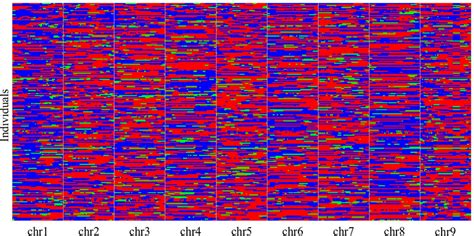 Recombination Bin Map Of 215 Foxtail Millet Rils The Whole Map Download Scientific Diagram