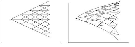 Random Walk Trinomial Tree And Life