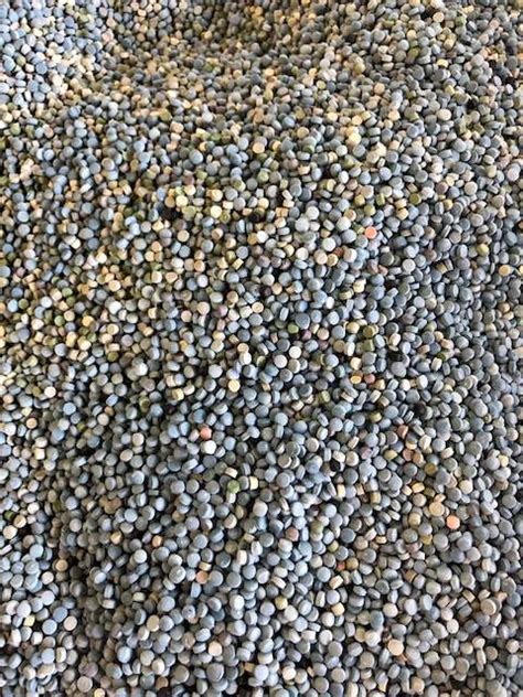 Hdpe Repro Pellets Mixed Color Repro Hdpe Lldpe Hexene Ldpe Pcr And Pir