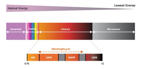 Basic Knowledge Of Biological Sensing Technology Using Swir Short Wavelength Infrared Tech