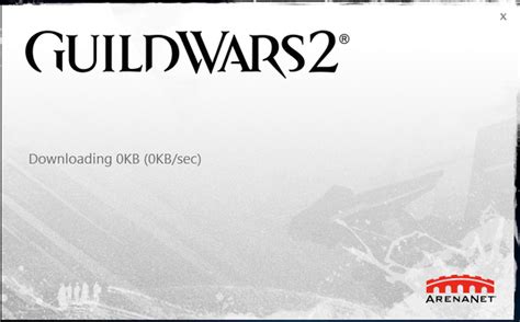 Bug Stuck Already Played For 3 Days So Its New Rguildwars2