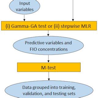 Flowchart For The Modeling Approach Download Scientific Diagram