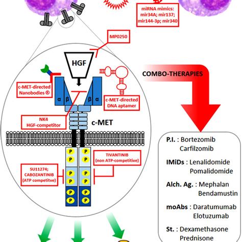 schematic representation of the potential use of combinatorial