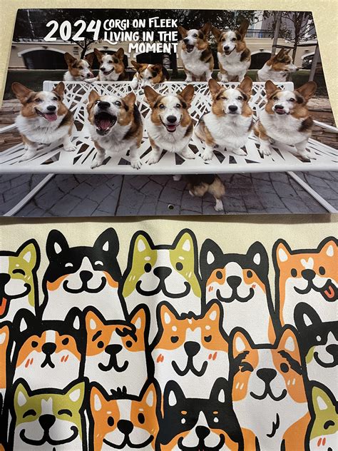 Got My Corgi Stuff And Im Happy R Corgi